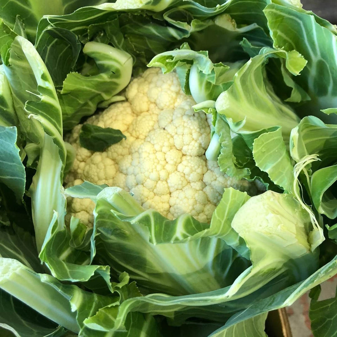 Cauliflower - Farmers Fayre