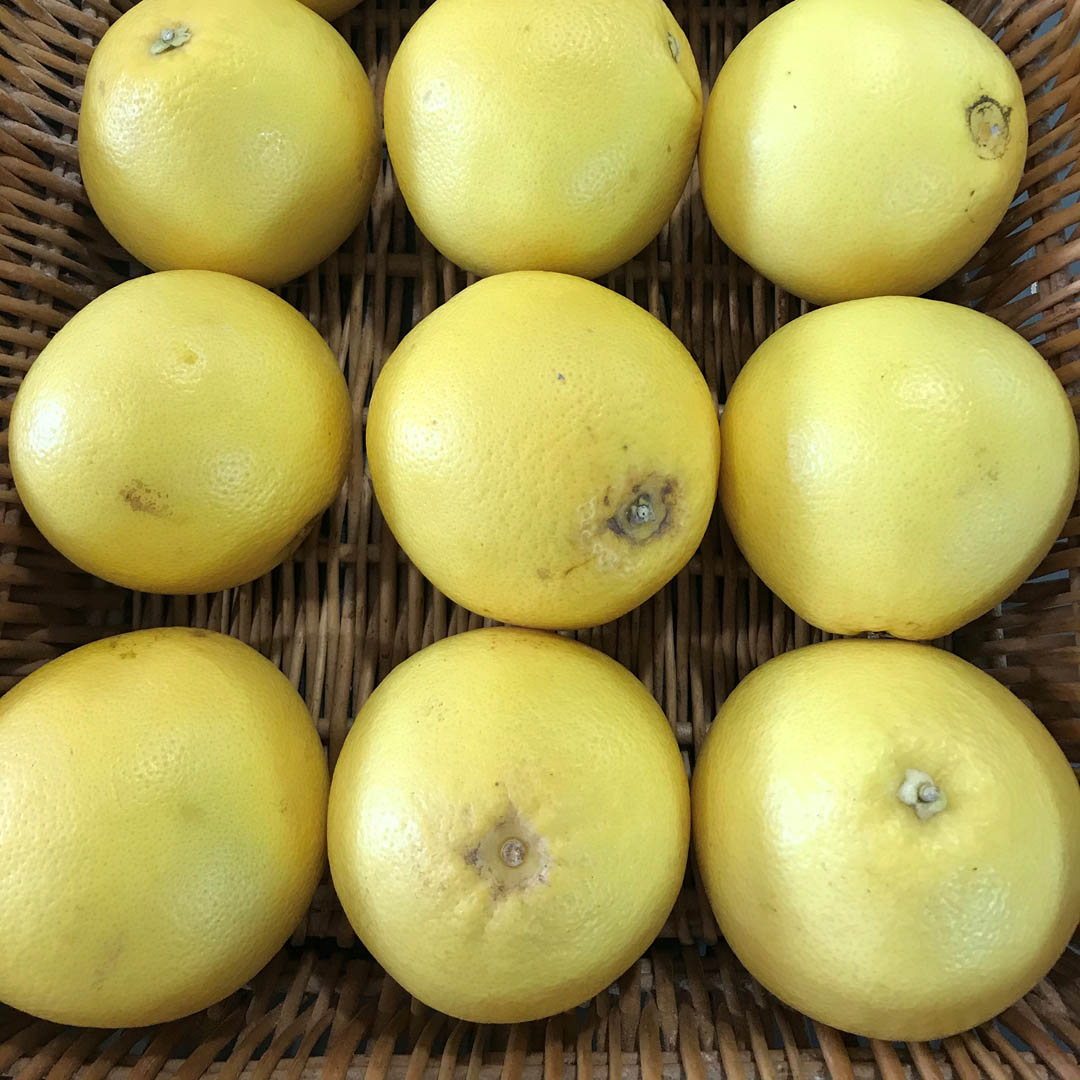 Grapefruit - Farmers Fayre