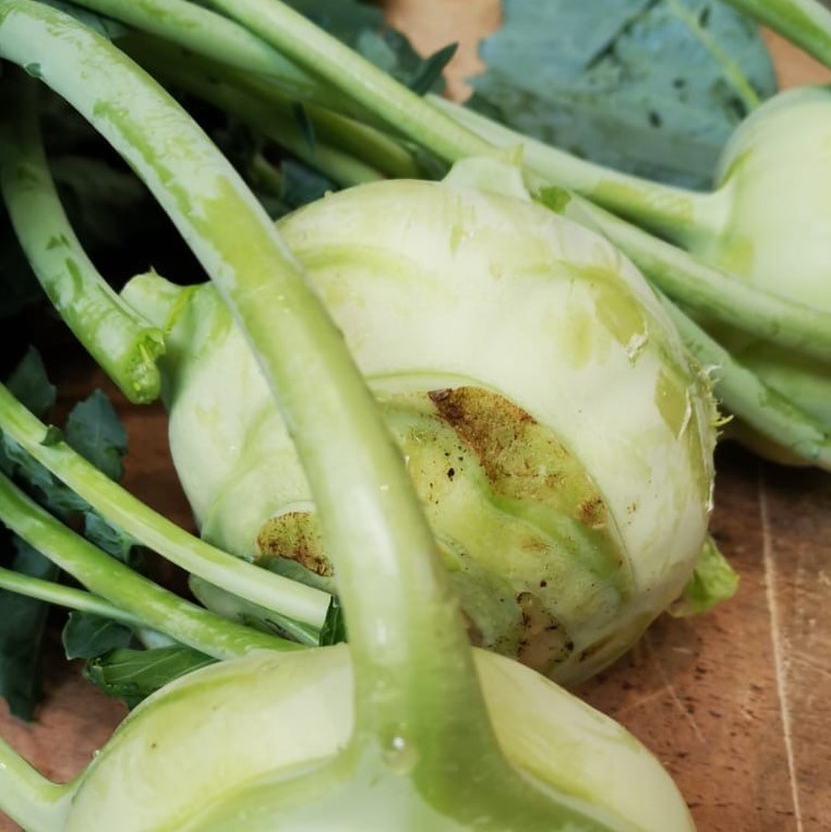 Kohl Rabi - Farmers Fayre