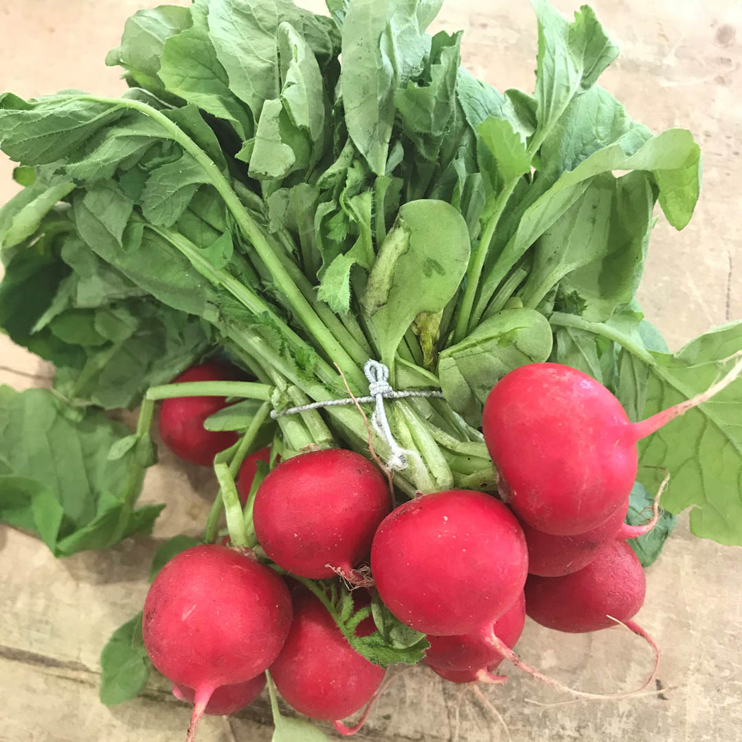 Beautiful Bunch Radish - Farmers Fayre