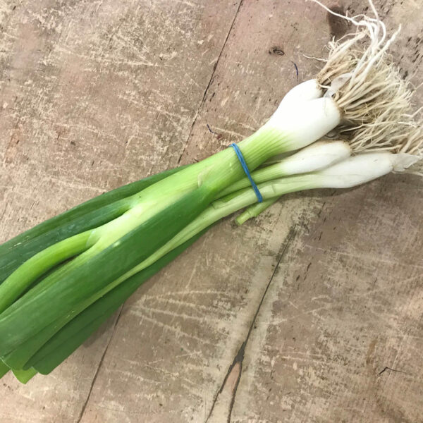 Bunch Spring Onions - Farmers Fayre