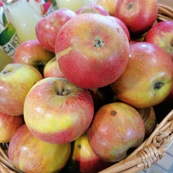 Cox Apples price per apple - Farmers Fayre