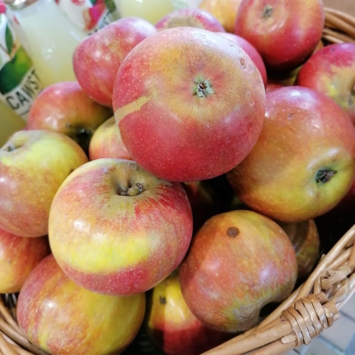 Cox Apples price per apple - Farmers Fayre